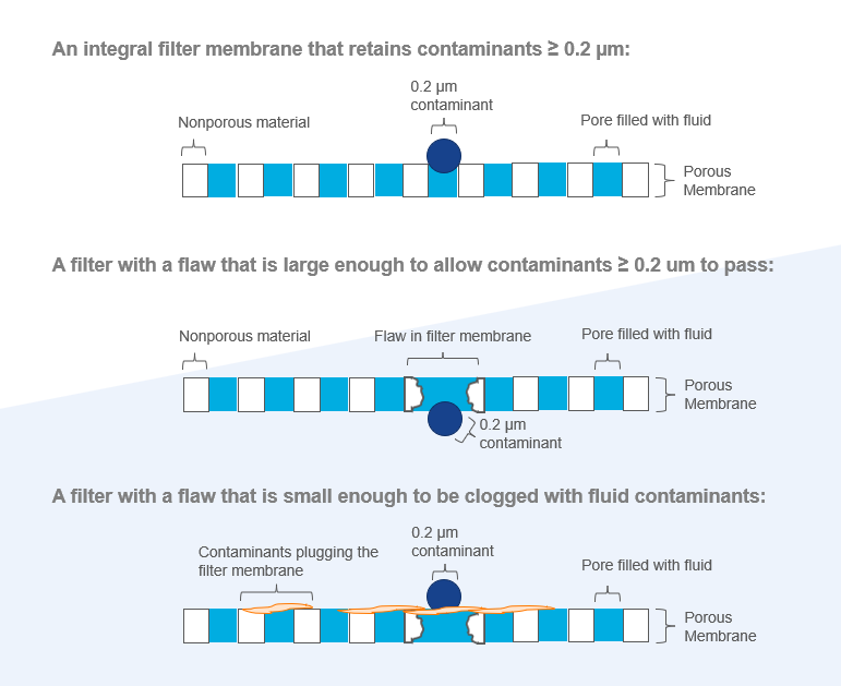 PUPSIT Single-Use Assemblies | Bioprocess Solutions